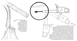 Dealing With Dangerous Trees - Countryside